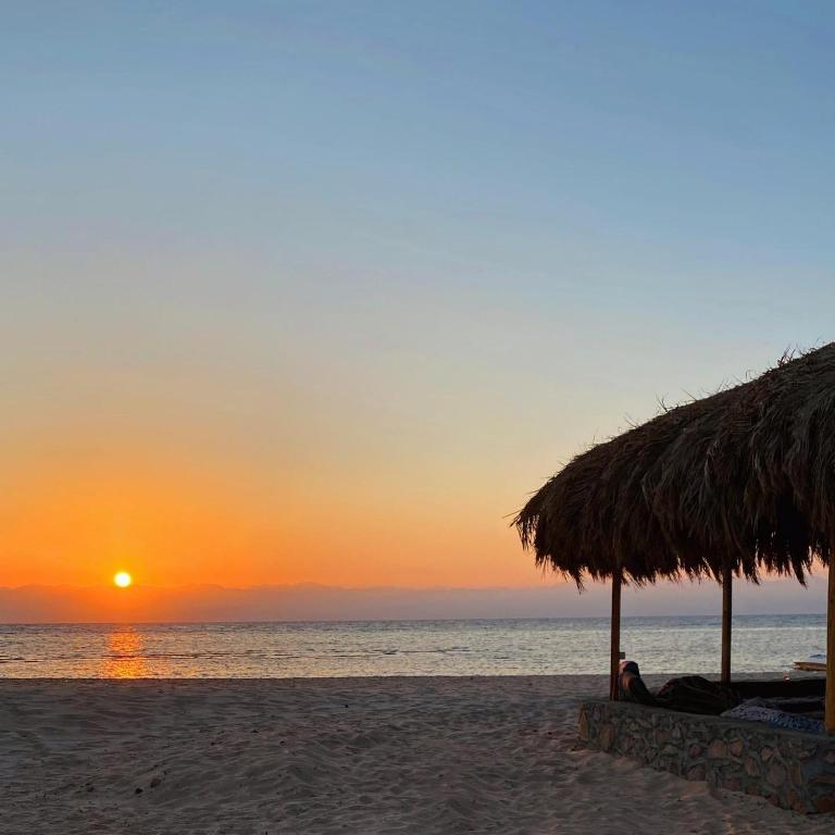 Escape Land Camp Nuweiba预订_Escape Land Camp Nuweiba优惠价格_Booking.com缤客