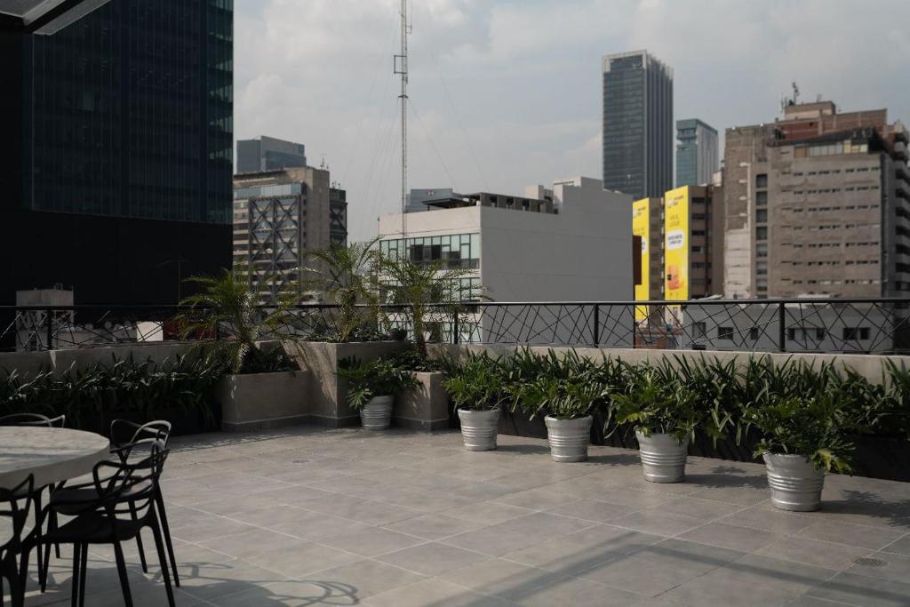 Sky Roma墨西哥城（2024最新房价）