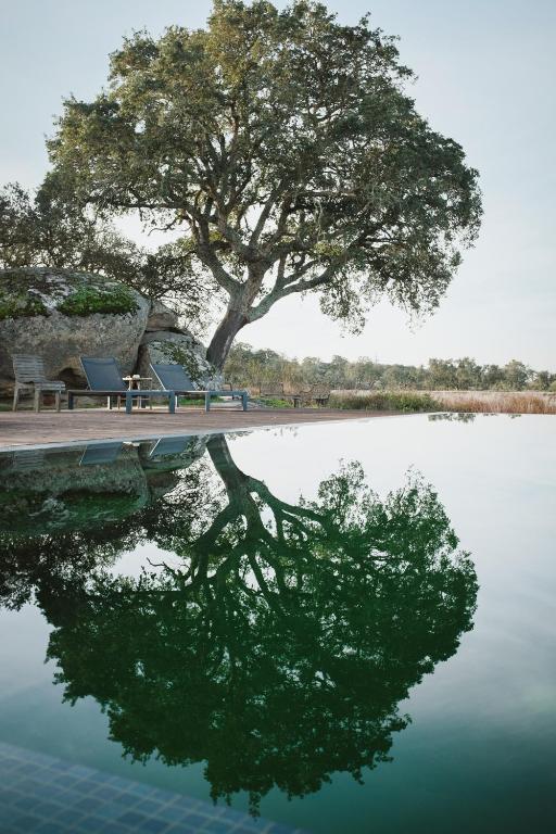 Monte da Bela Raposa,Pavia（2025年最新房价）