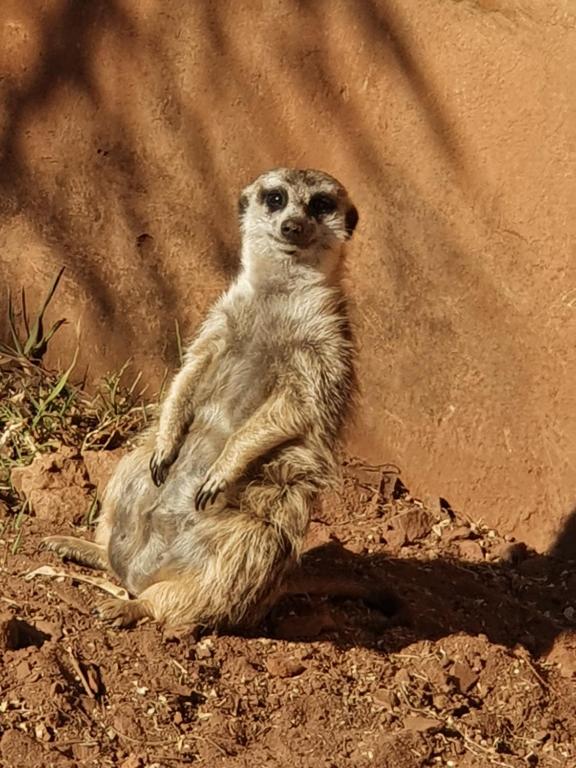 KIMBURU BUSHCAMP米德尔堡（2024最新房价）