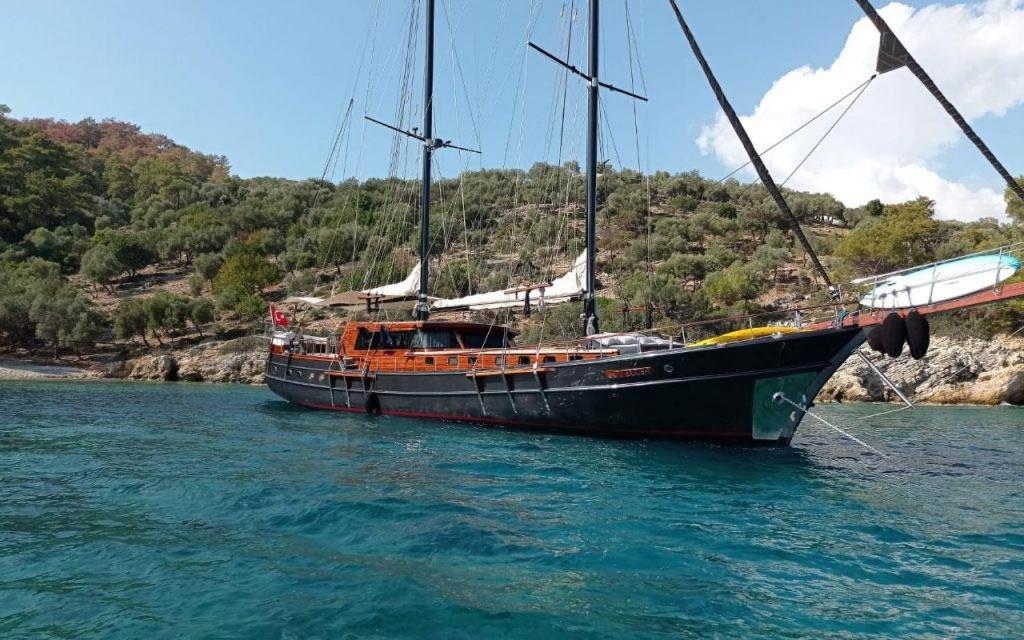 Arielle 1 - Lüks Tekne,费特希耶（2025年最新房价）