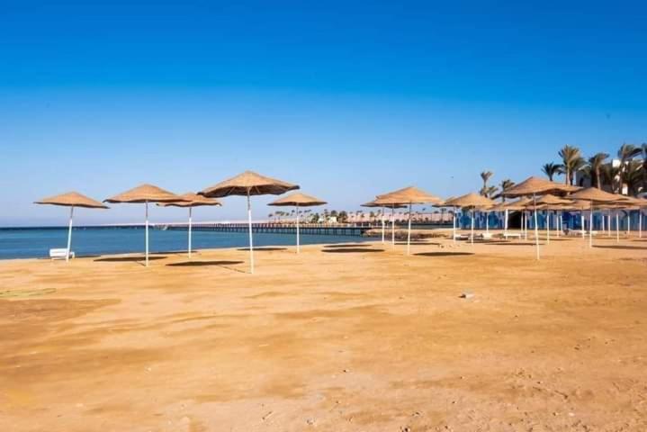 Scandic resort منتجع سكانديك,赫尔格达（2025年最新房价）