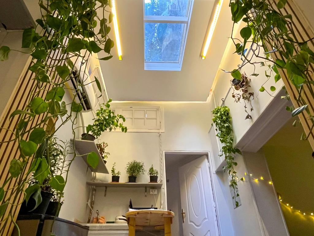 The Greenhouse,开罗（2025年最新房价）