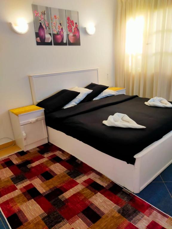 Al Sakr Real Estate沙姆沙伊赫（2024最新房价）