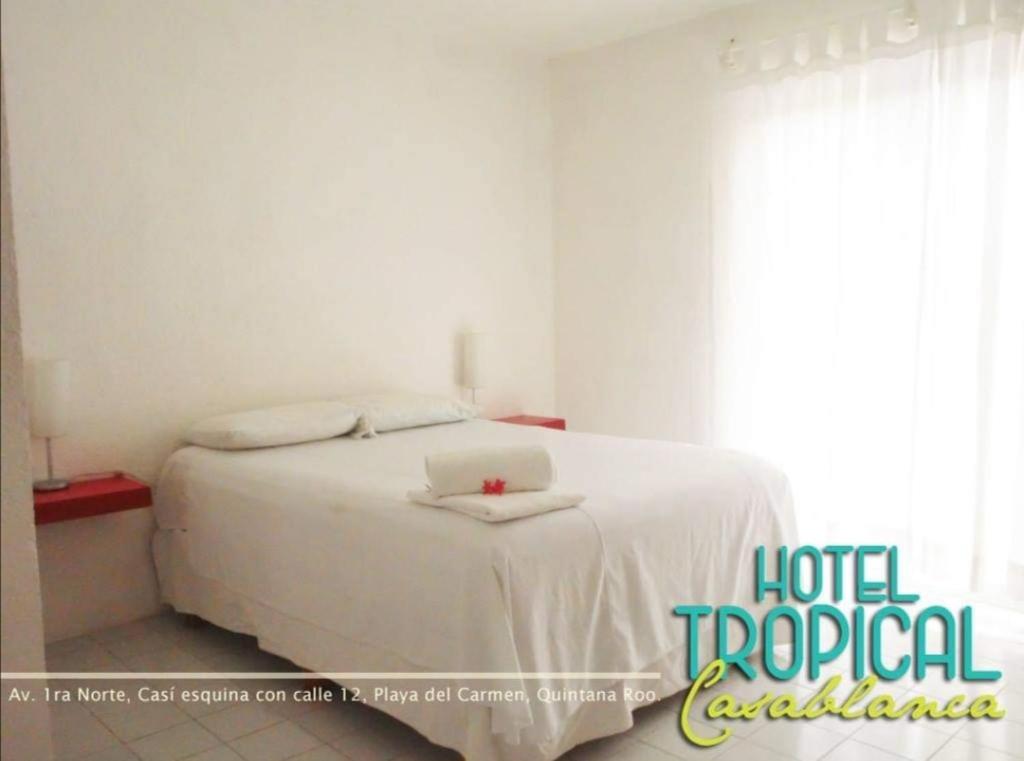 El Tropical Playa Del Carmen普拉亚卡门(2025年最新房价)