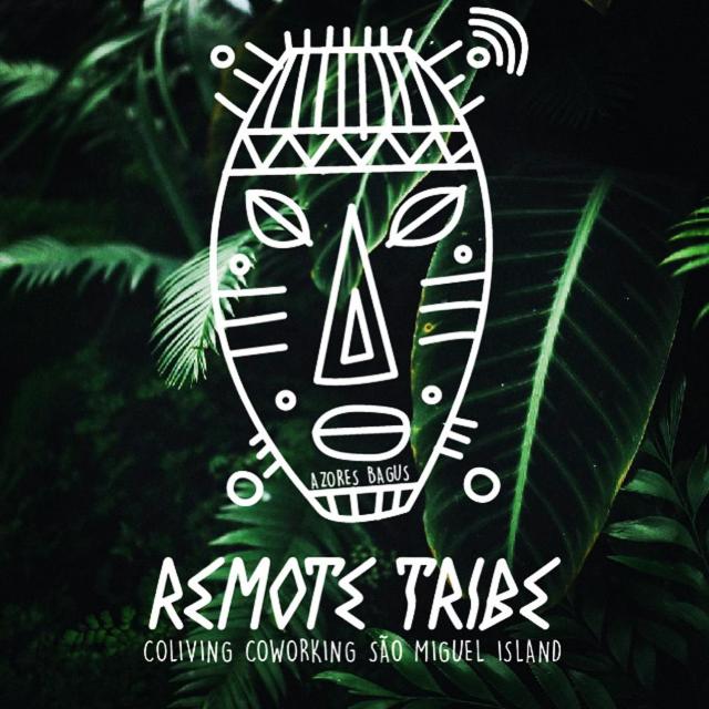 Remote Tribe,蓬塔德尔加达（2026年最新房价）