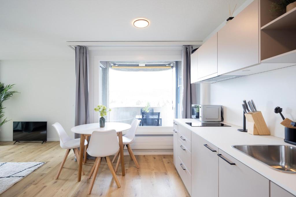 STAYY Sky Studio near Limmattal Hospital - contactless check-in,施利伦 ...