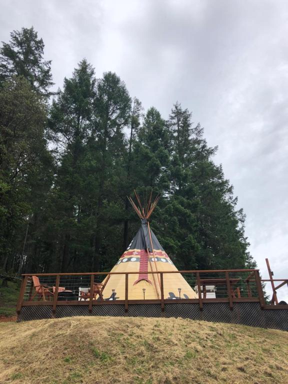 Indulge in the ultimate Glamping experience with our Luxury Tipi ...