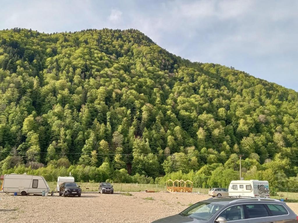 Camping Pentru Rulote, Auto Rulote, Corturi Personale La Barbosu in ...