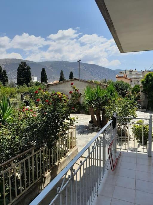 Ομορφο νεο στουντιο στην πολη της Ιτεας,伊泰阿（2026年最新房价）