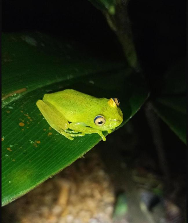 Hostal Parque Etnobotánico Omaere,普约（2025年最新房价）