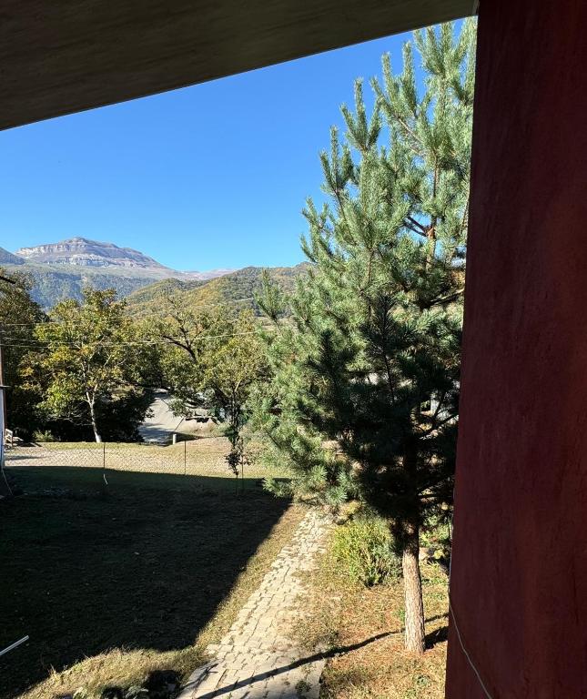 Kiraye ev Guest house,Mekhrably（2025年最新房价）