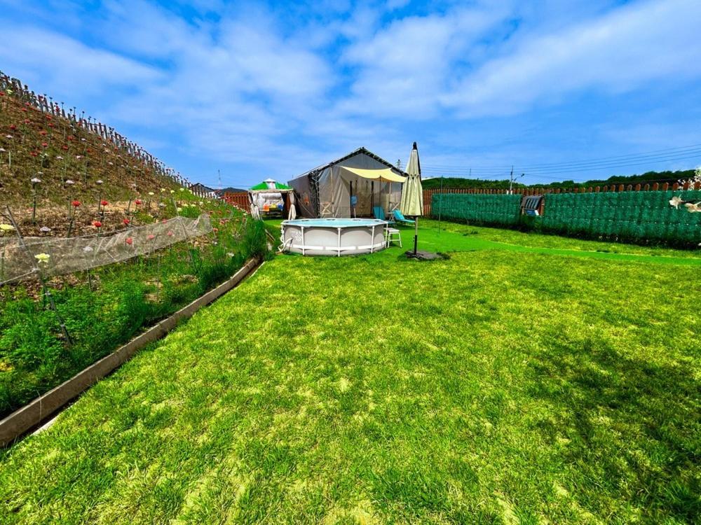 Dangjin Dogpelis Glamping,Dangjin（2025年最新房价）