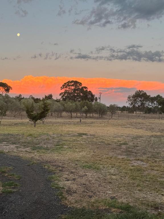 Farm Stay, Feed Sheep & Relax,Diggers Rest（2025年最新房价）