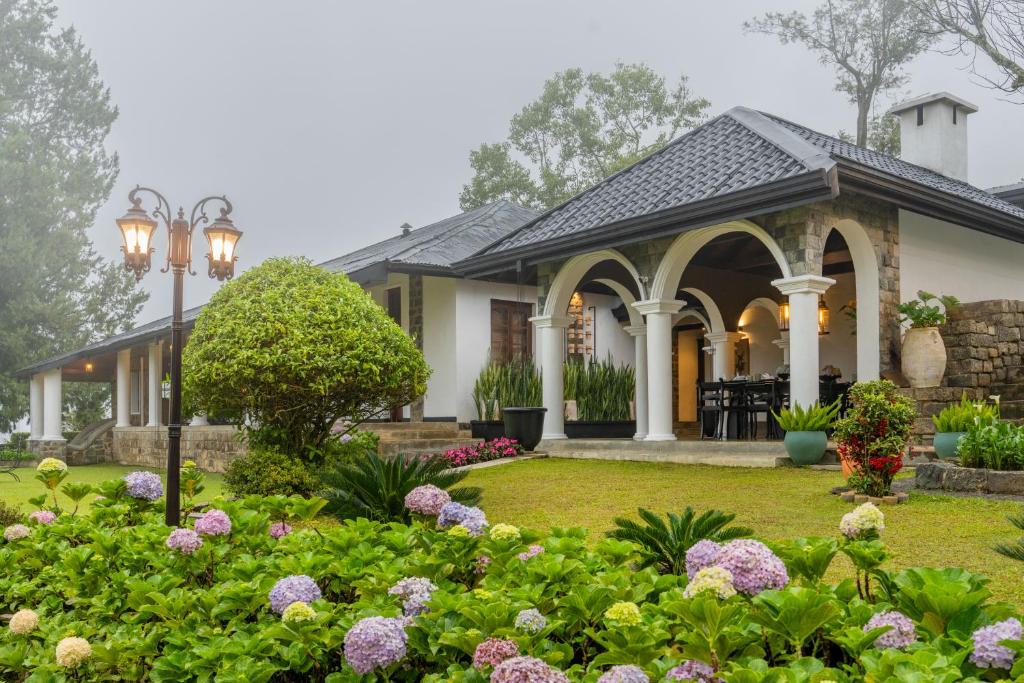 Garfield Bungalow by TONIK,哈普特莱（2026年最新房价）