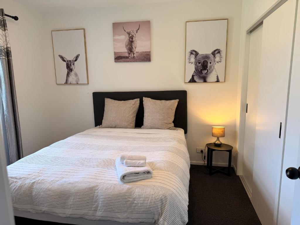 Room in house shared with other guests,陶波（2026年最新房价）