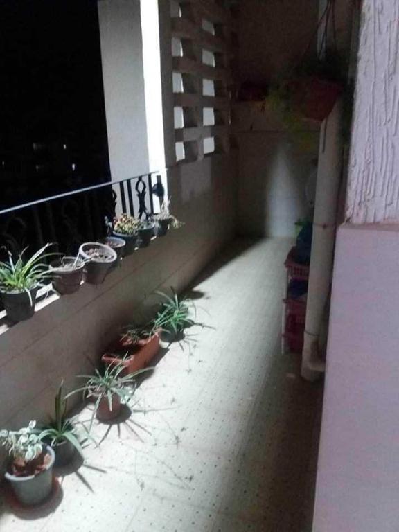 Appartement hayet regency,奥兰（2026年最新房价）