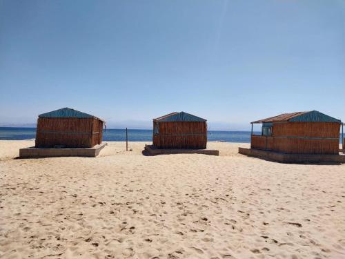 Escape Land Camp Nuweiba预订_Escape Land Camp Nuweiba优惠价格_Booking.com缤客