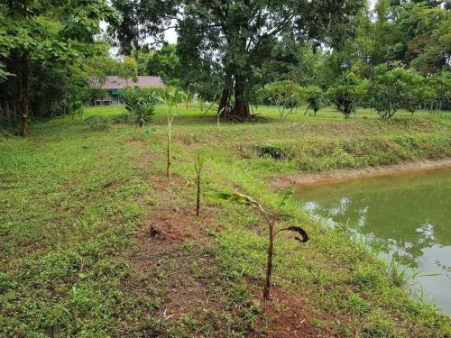 Wanon gardens - nature and private lifeBan Hin Hoep（2024最新房价）