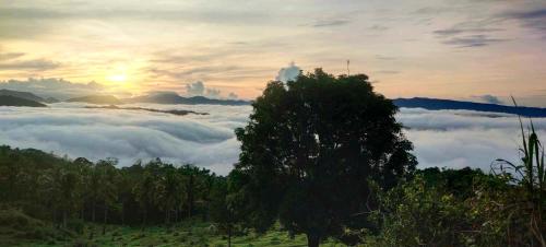 Tanay Overlooking Sea of Clouds Staycation house塔奈（2024最新房价）